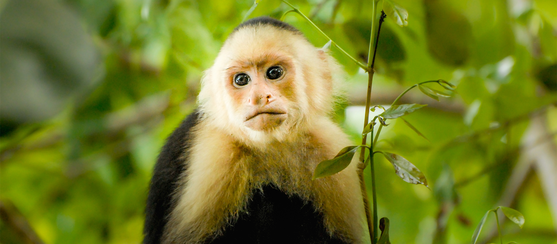 National Geographic Vacation Packages: Journeys | National Geographic ...