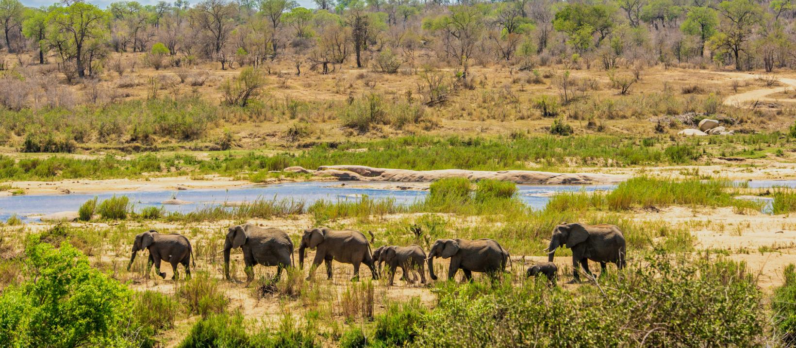 See Whats New | National Geographic Expeditions