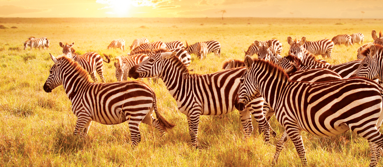 Types of Vacations, Travel, Tours & Trips 2019 | National Geographic ...