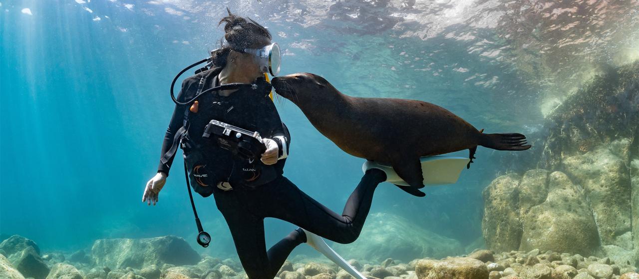 Why Choose National Geographic Lindblad Vacation Packages | National ...
