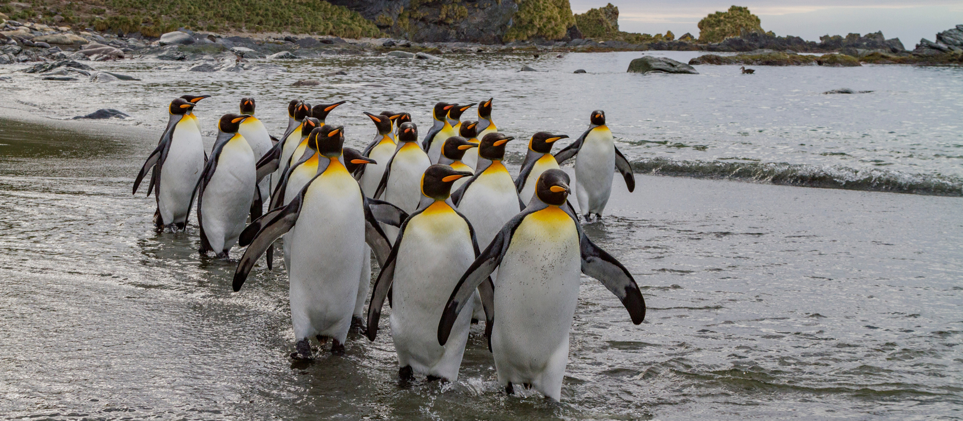 Group Expedition Savings | National Geographic Expeditions