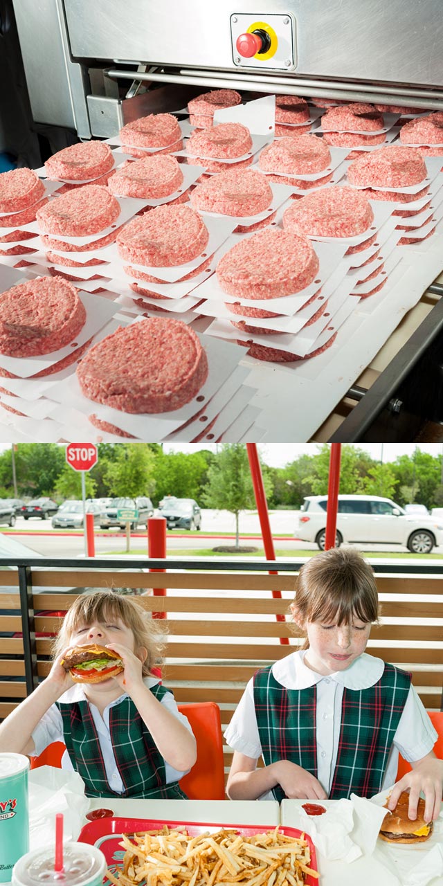 Carnivore’s Dilemma - National Geographic