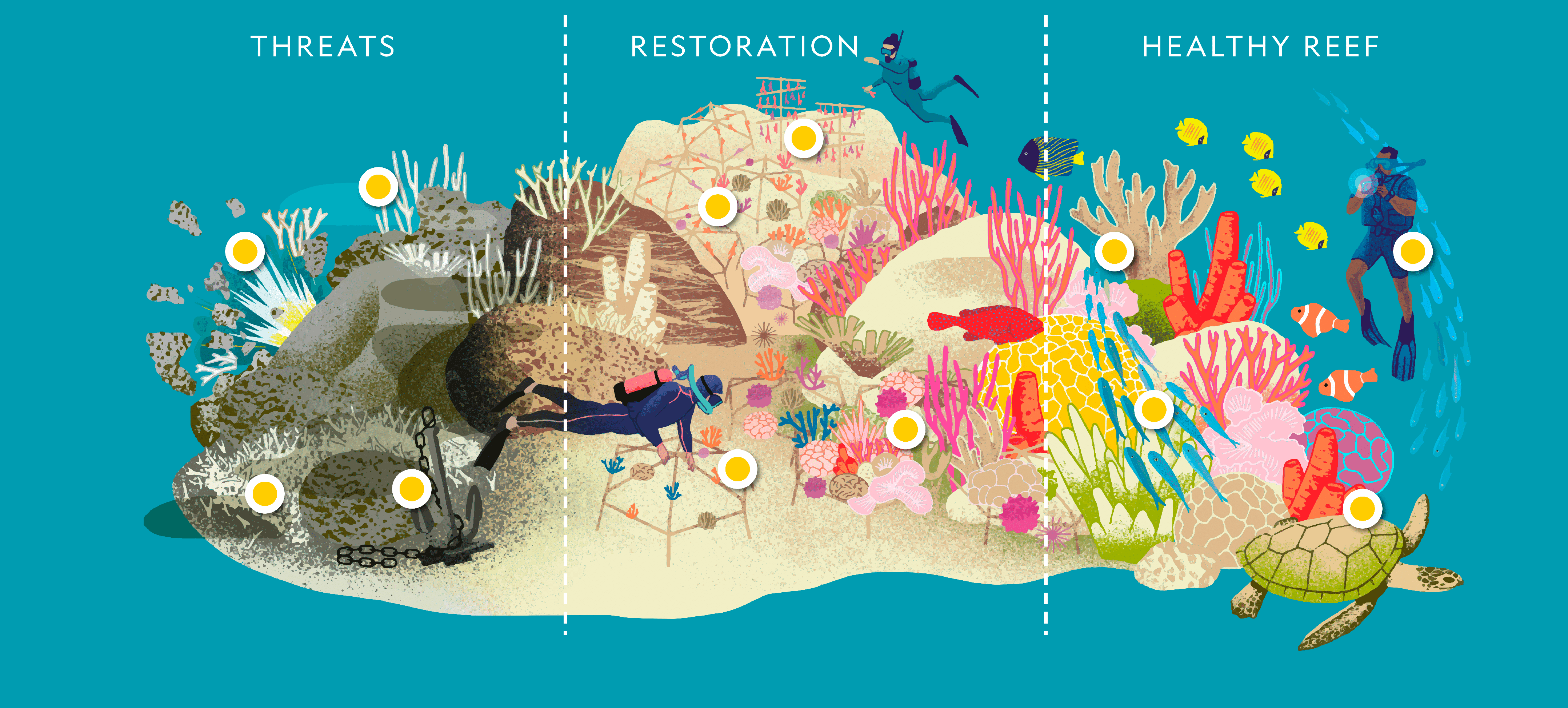 PAID CONTENT FOR SHEBA - GROWING HOPE