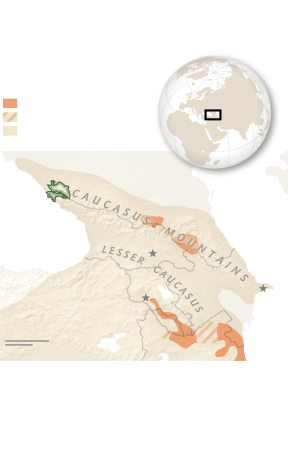 Persian Leopard Putin