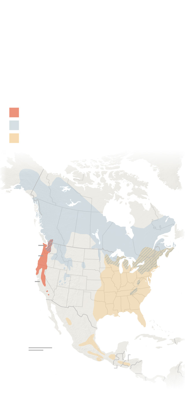 Northern Flying Squirrel Range
