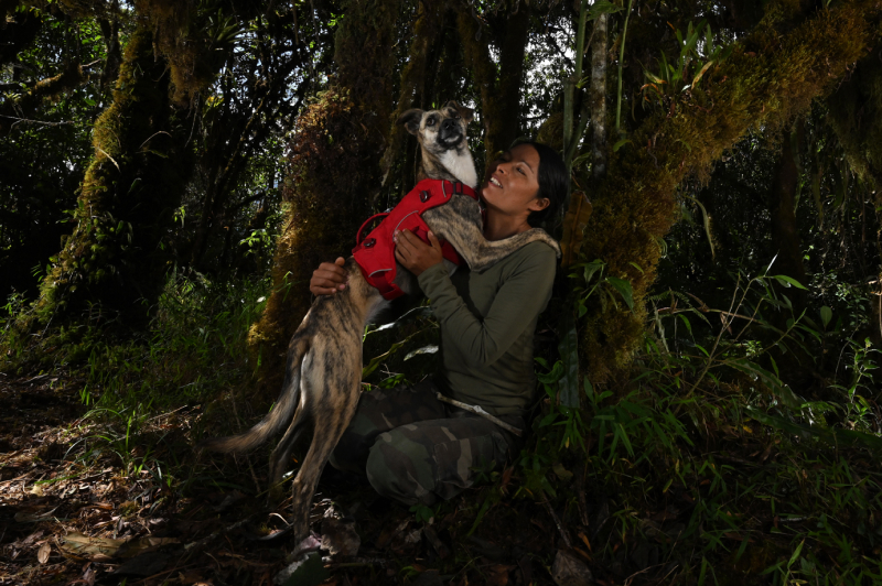 Into the Amazon | National Geographic