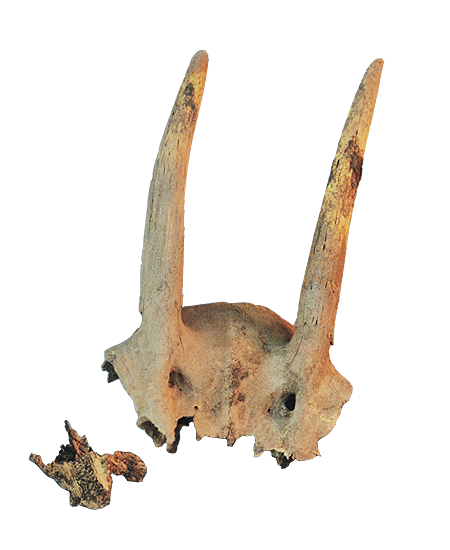 AlUla - Wonder of Arabia