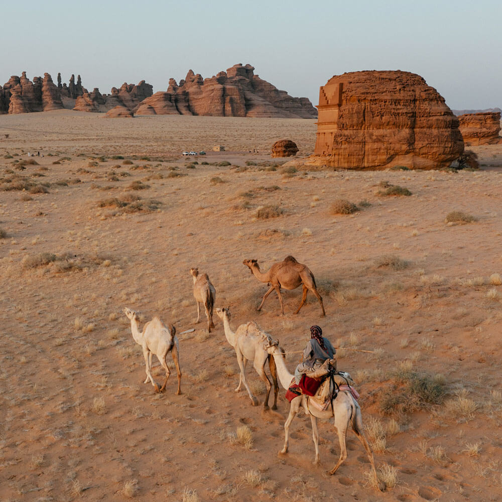 AlUla - Wonder of Arabia