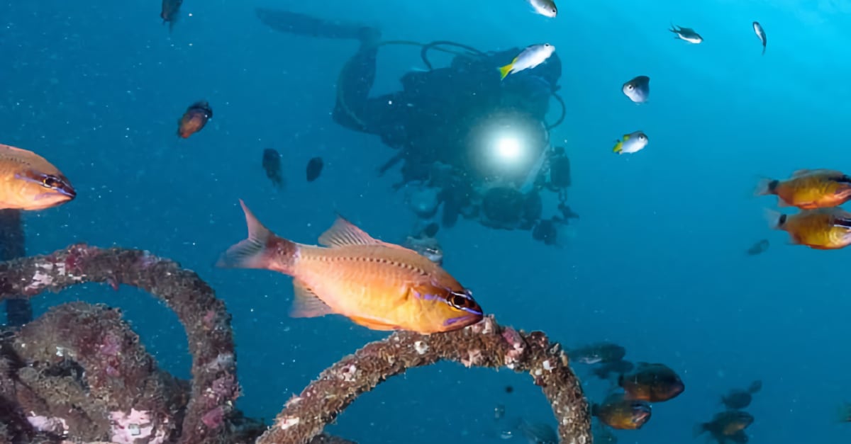 Oceans Tomorrow - National Geographic