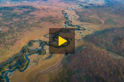 OKAVANGO DELTA - only where you have walked have you been