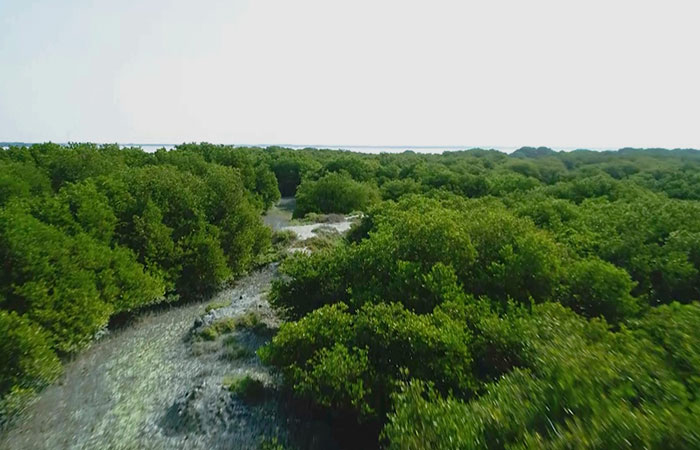 Protecting a Natural Kingdom