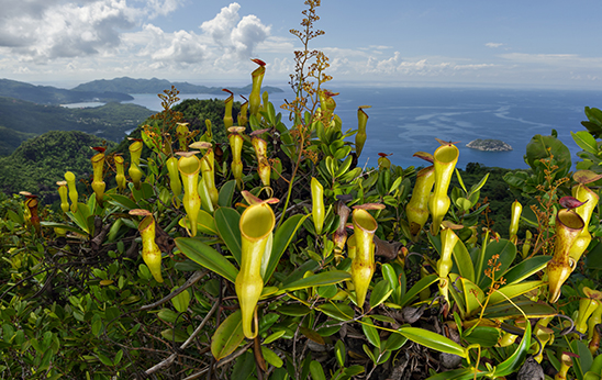 Seychelles - National Geographic