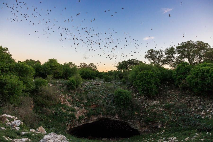 [Paid Content] Travel Texas: Find Your Texas